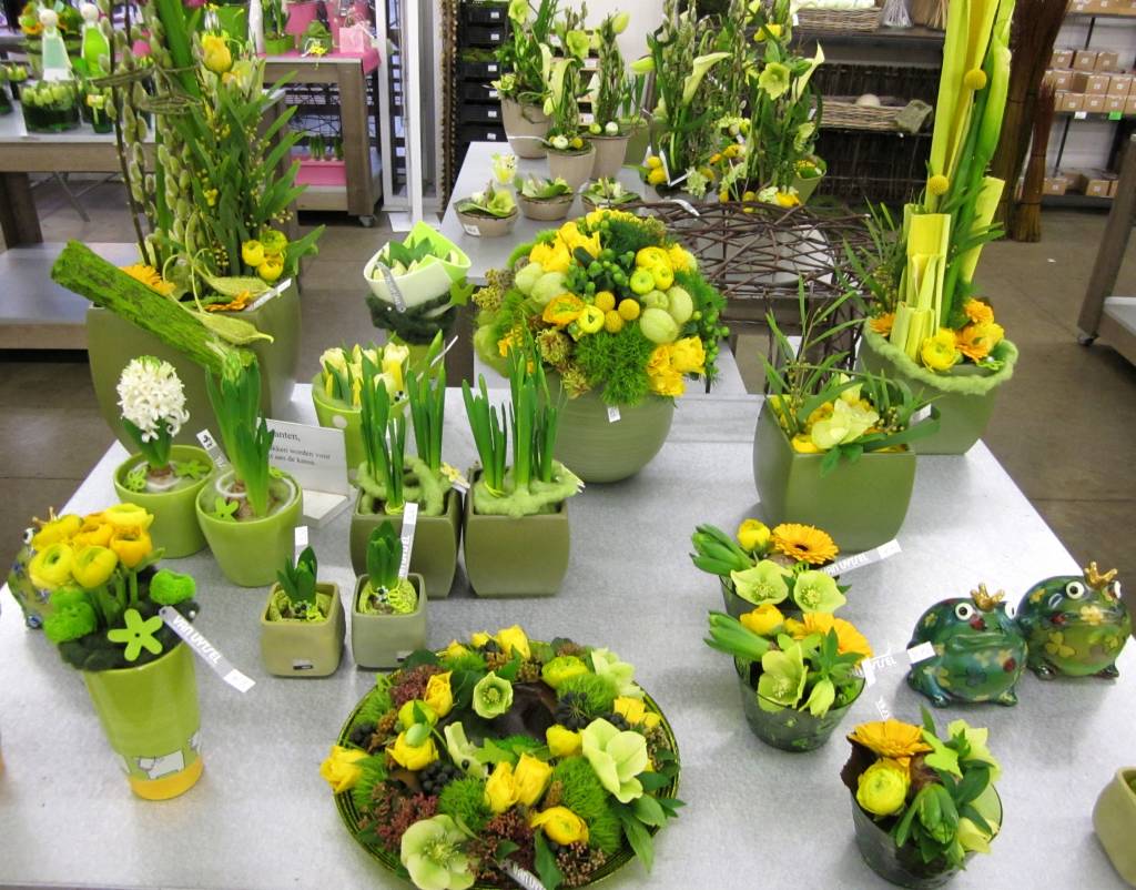 Tuincentrum Van Uytsel | Bloemenwinkels & Tuincentra | Kontich | Yozo