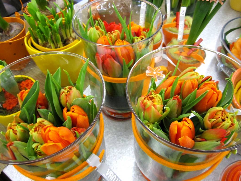 Tuincentrum Van Uytsel | Bloemenwinkels & Tuincentra | Kontich | Yozo